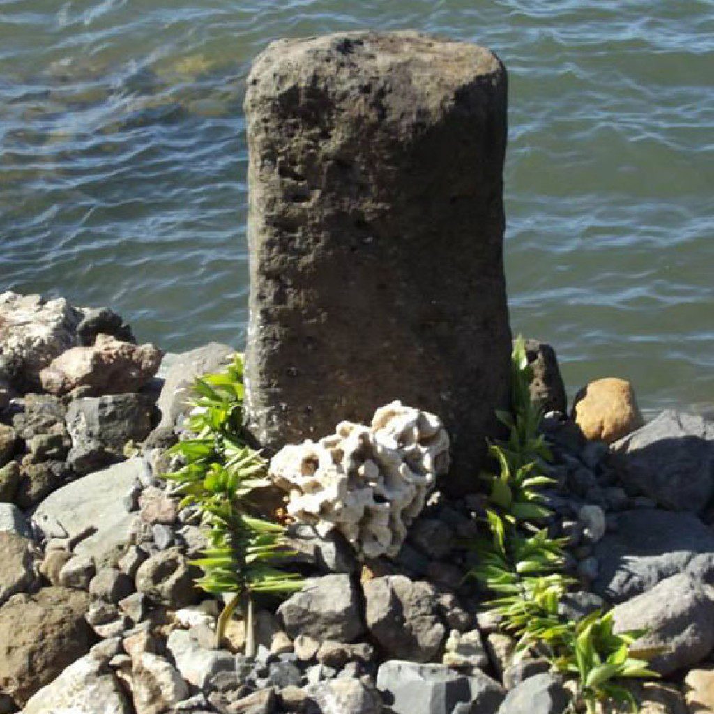 Oli and Resources – Pacific American Foundation